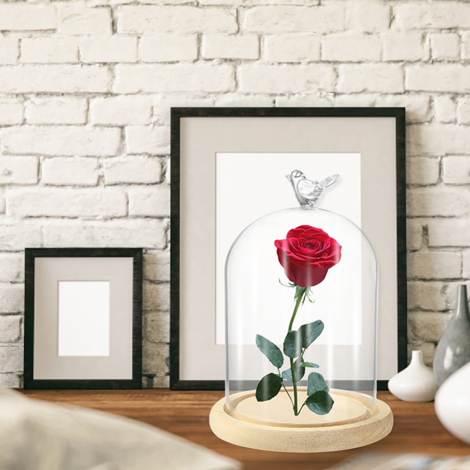 Binkne Preserved Flower Glass Cover Clearance Cloche Glass Dome Glass ...