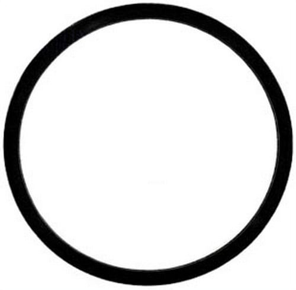 Binks 83-1419 Gasket - Walmart.com