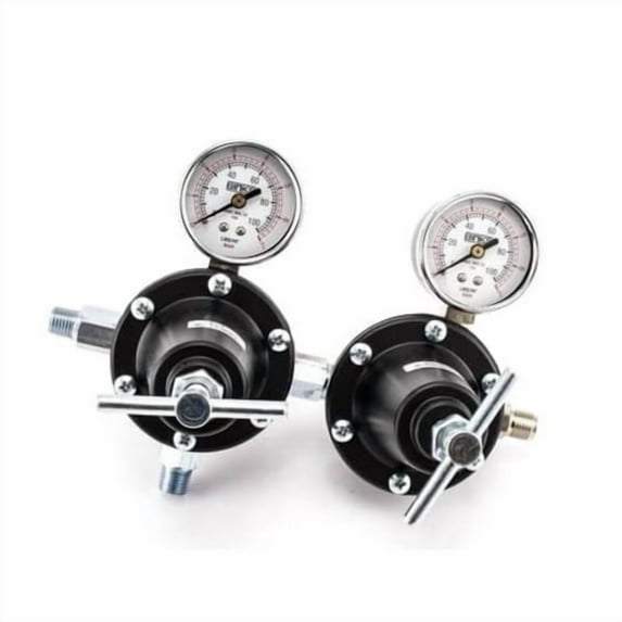 Binks 85-453 Dual Regulator Assembly for Pressure Pots (Air 100 psi ...