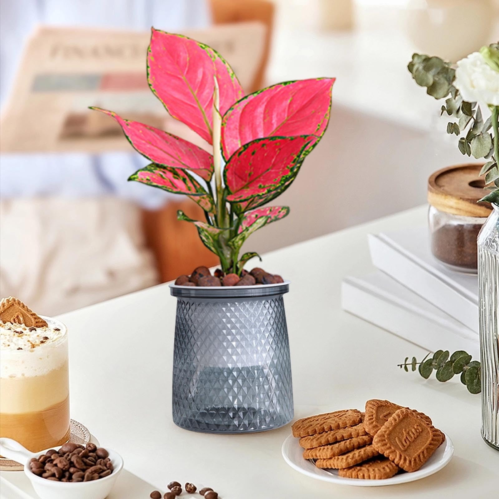 Binmer Waterless Automatic Water Absorbing Lazy Pot Plastic Flower ...