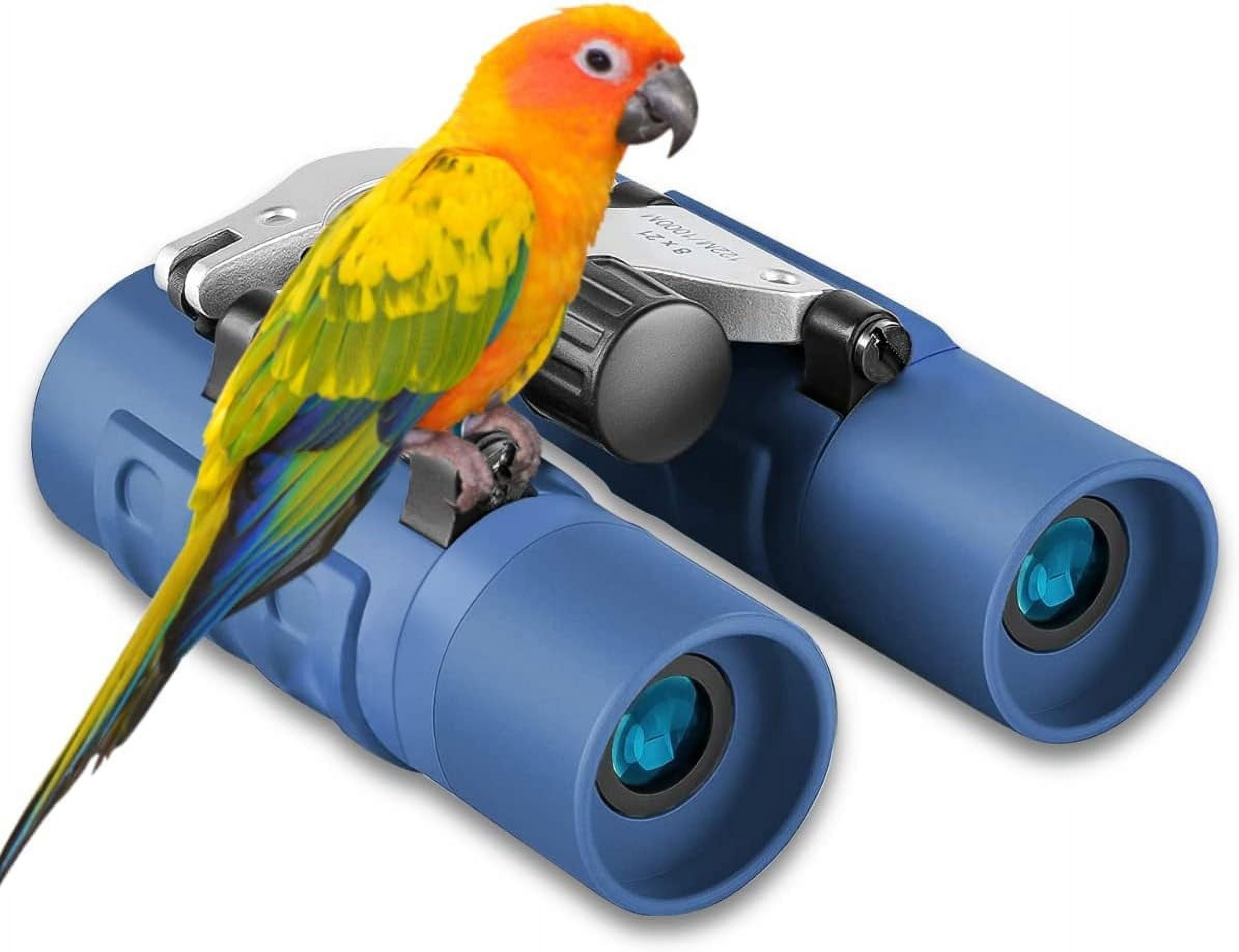 Binoculars 122x1000 Compact with Clear Low Light Vision, Large Eyepiece ...