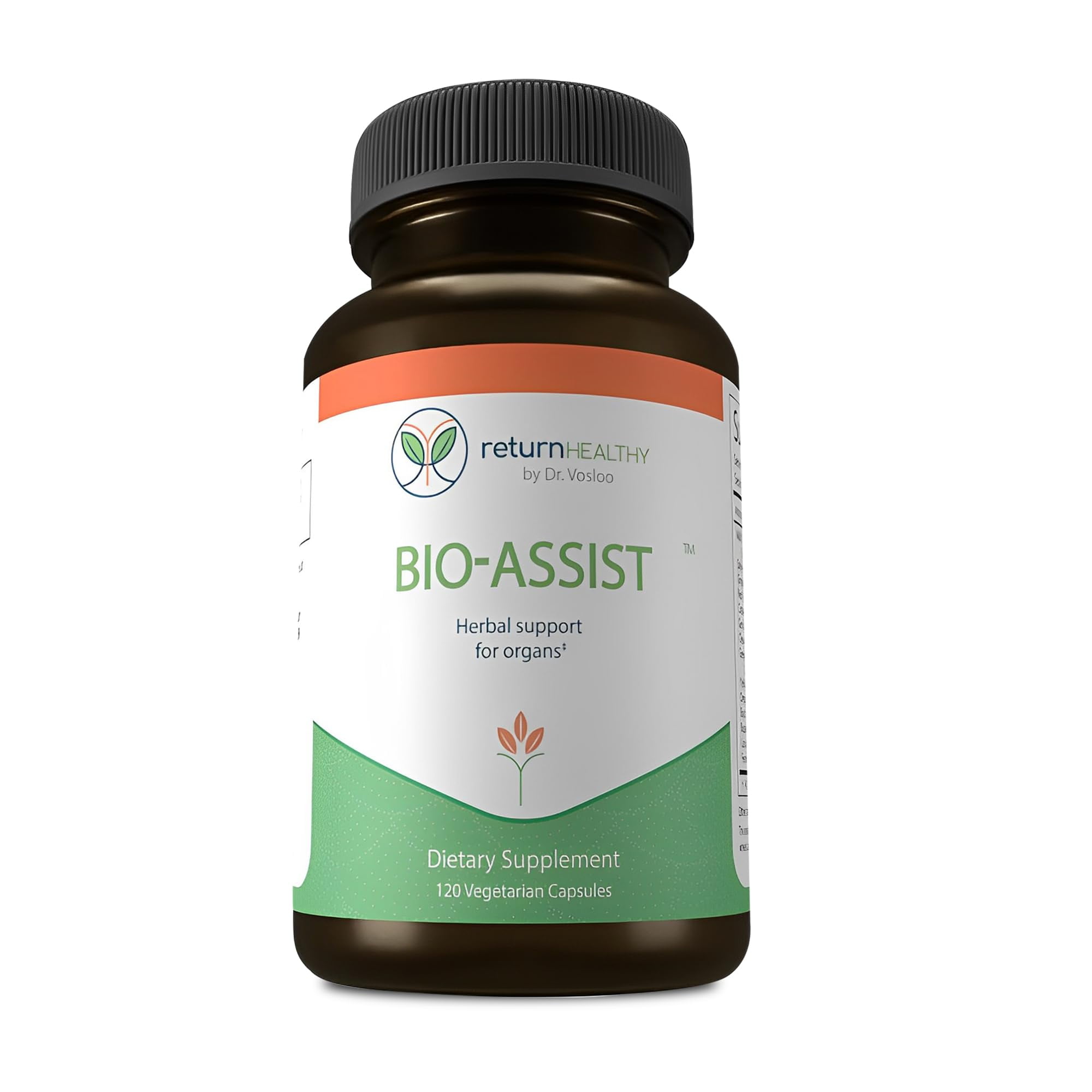Bio-Assist, Natural Organ Support for Liver Health, Bile Flow, Kidney ...