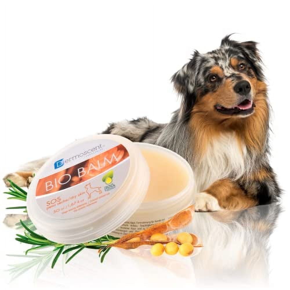 | Bio Balm | Natural, Organic, Dog Paw Balm | Skin & Paw Soother For ...