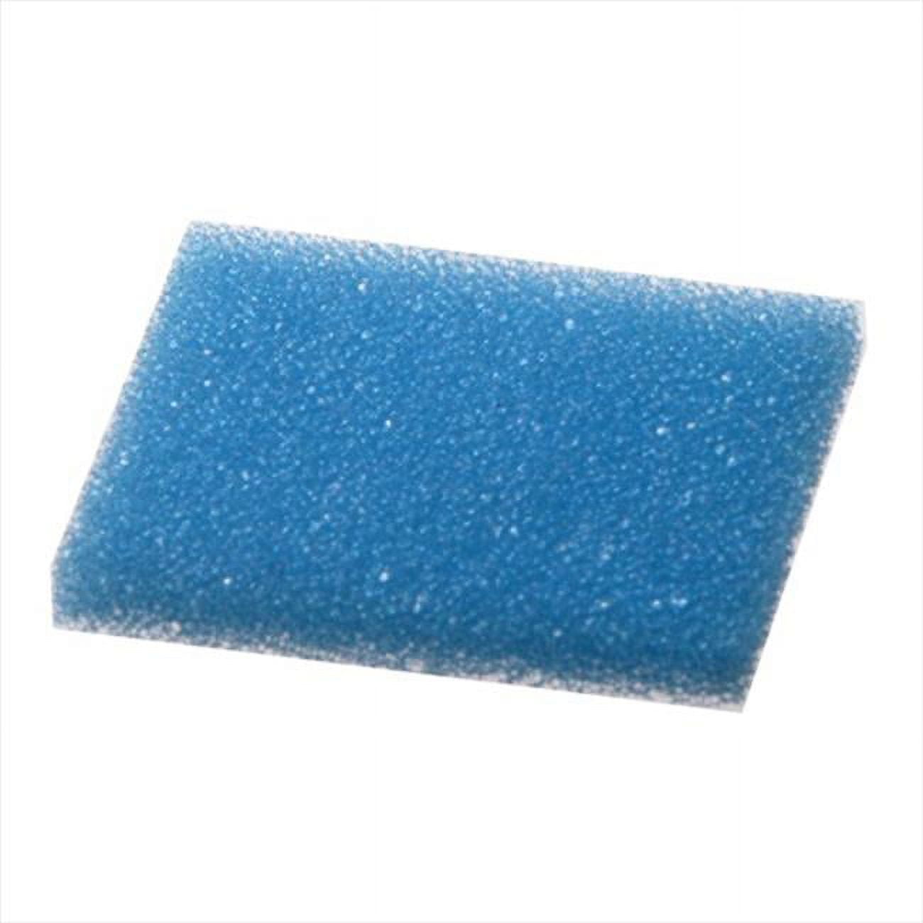 Bio Plas 6120 Biopsy Pads- 1 x 1.25 - 1000 pk - Blue - Walmart.com