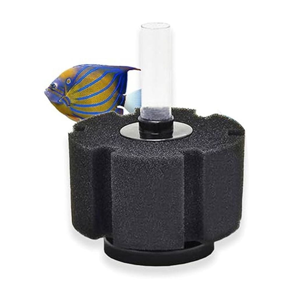 FINAQUA Bio Sponge Filter for 10-75 Gallon Fish Tank, Quiet Breeding ...