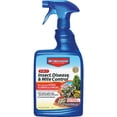 BioAdvanced 3-In-1 Insect & Disease Killer - Pack of 12 - Walmart.com