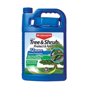 Bayer Tree And Shrub
