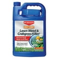 BioAdvanced All-In-One Lawn Weed and Crabgrass Killer I, Concentrate, 1 ...