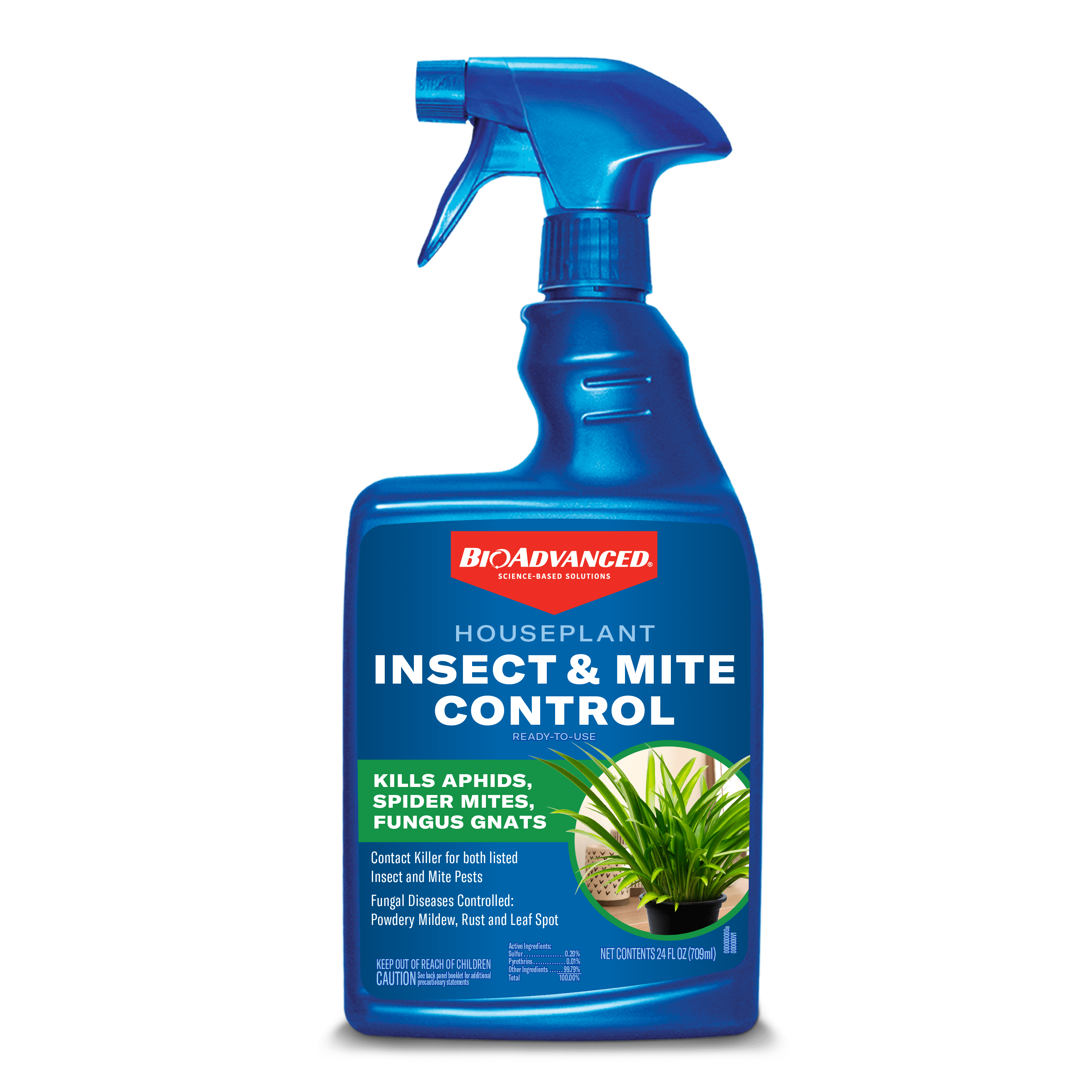 BioAdvanced Houseplant Insecticide & Fungicide, 24oz Ready to Use ...
