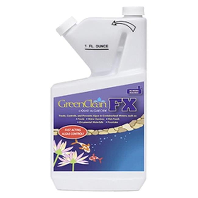 BioSafe Systems 32 oz GreenClean FX Liquid Algaecide - Walmart.com