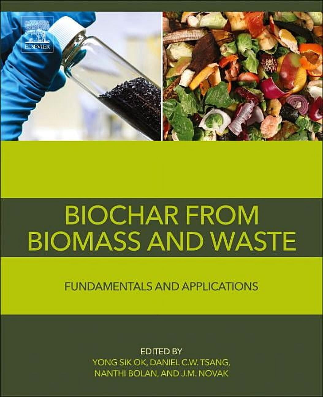 Biochar from Biomass and Waste: Fundamentals and Applications ...