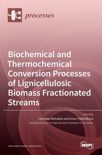 Biochemical And Thermochemical Conversion Processes Of Lignicellulosic ...