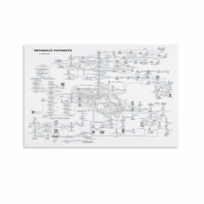 Wall Art in Decor - Walmart.com