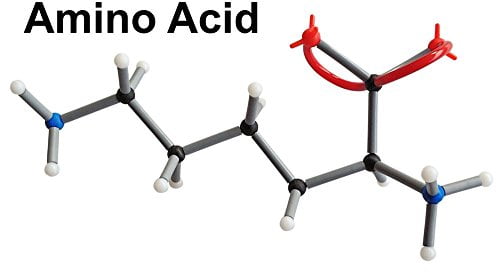 Biochemistry Model Set - Walmart.com