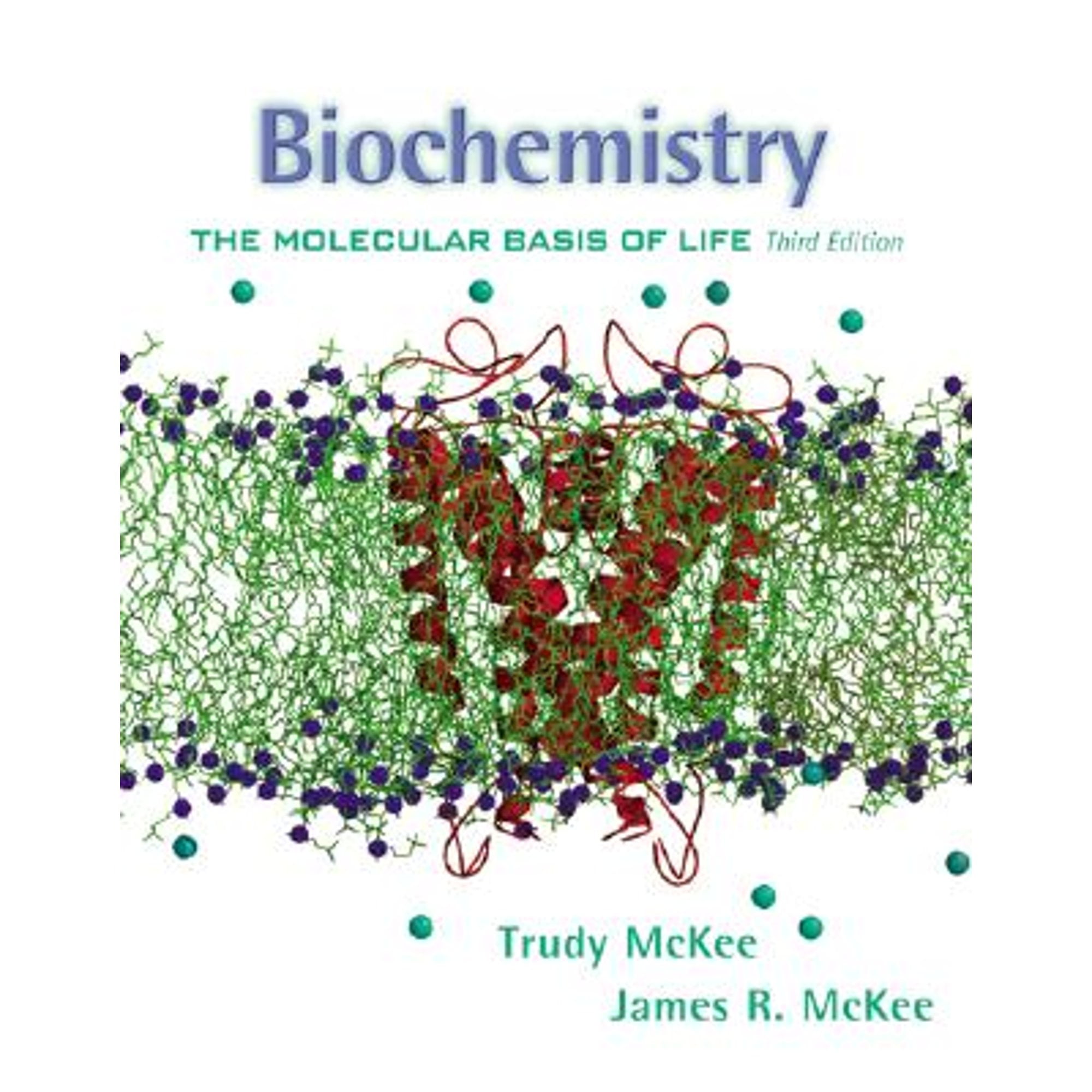 Biochemistry: The Molecular Basis of Life - Walmart.com
