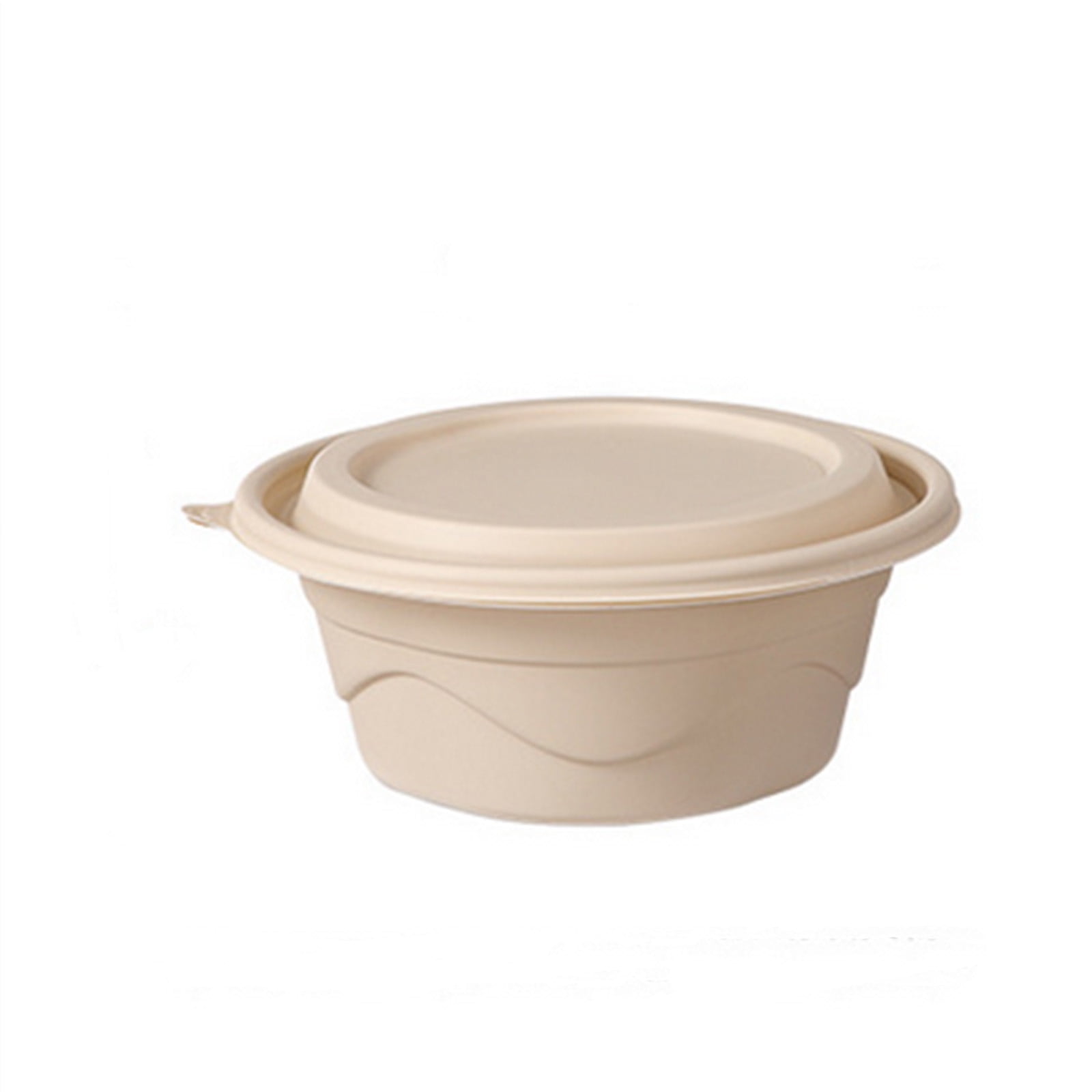 Biodegradable Disposable Lunch Box | Eco-Friendly Takeout Container ...