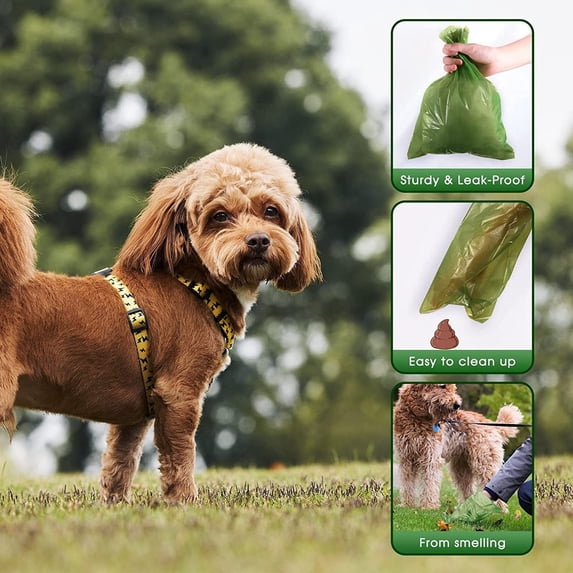 Biodegradable Dog Poop Bags With Fresh Scent for Pet Waste Indoor ...