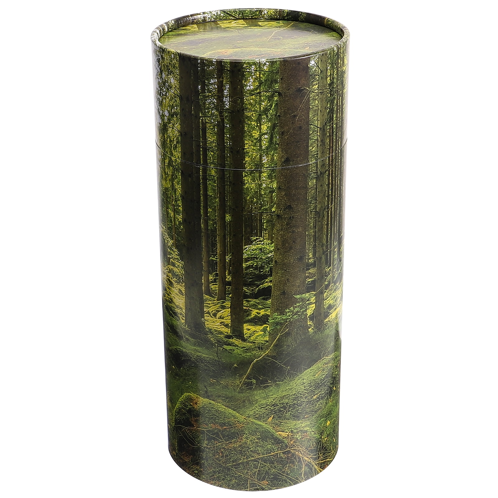 Biodegradable Human Ashes Urn Pet Ashes Scatter Paper Urn Cremated ...