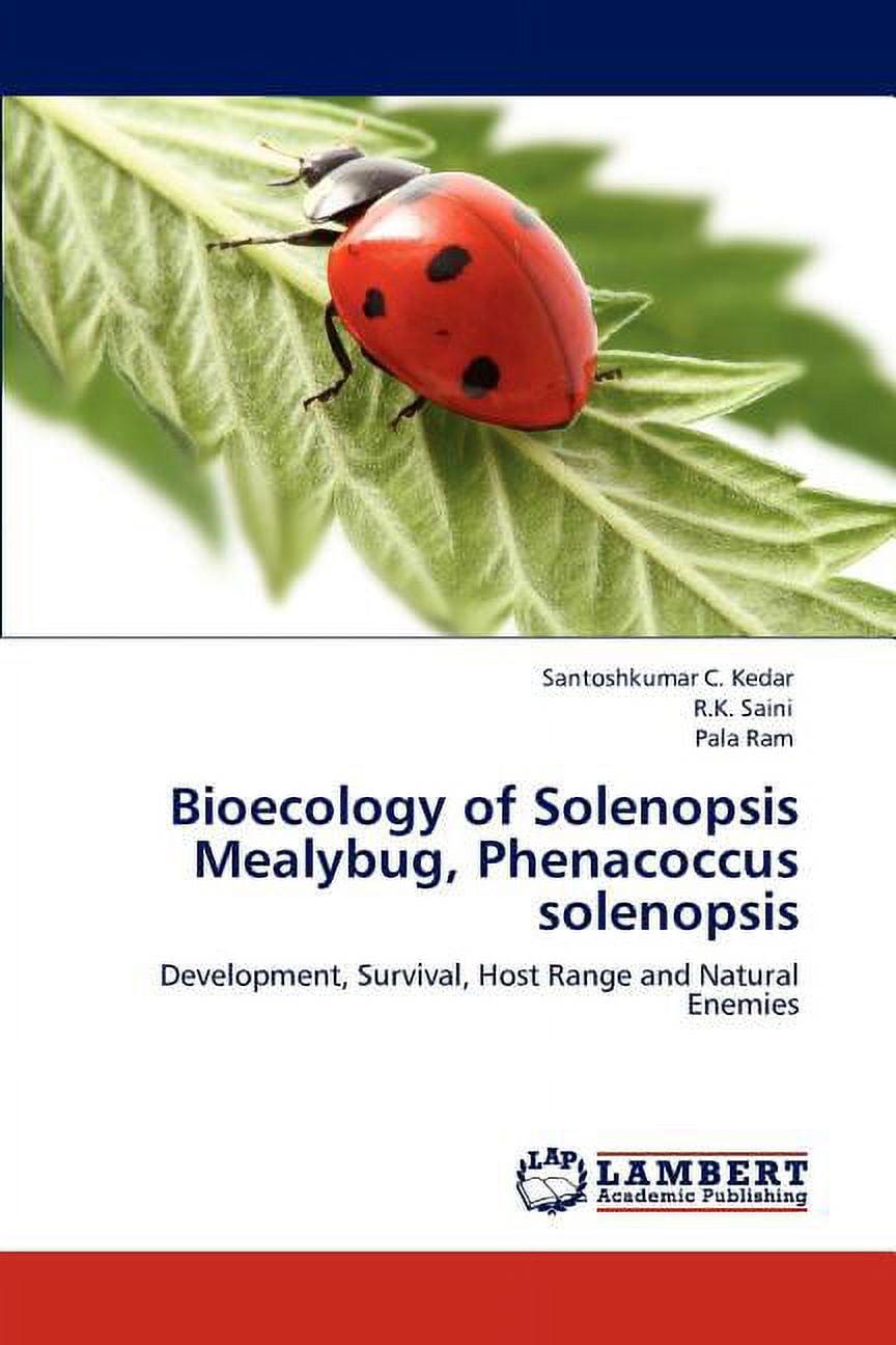 Bioecology of Solenopsis Mealybug, Phenacoccus solenopsis (Paperback ...