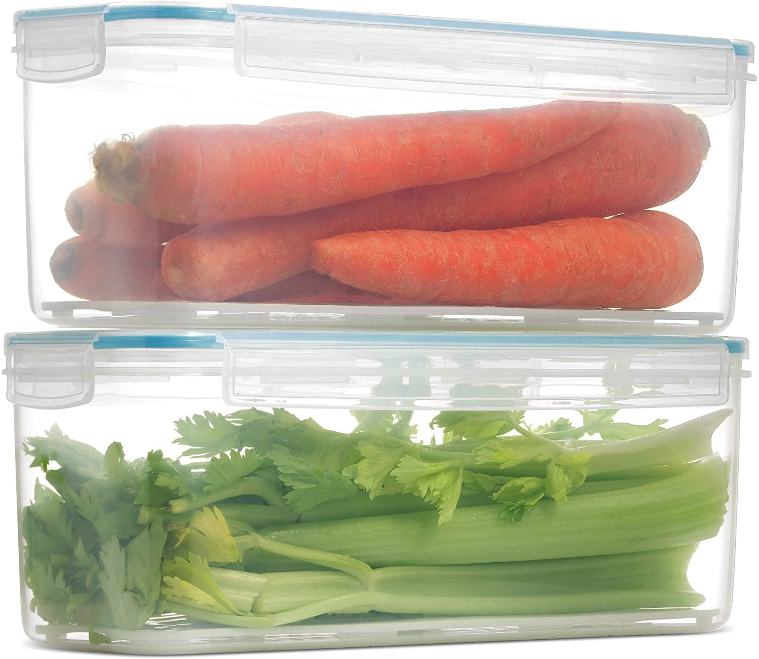 Biokips Fridge Storage Containers – Airtight Fridge Organizers and ...