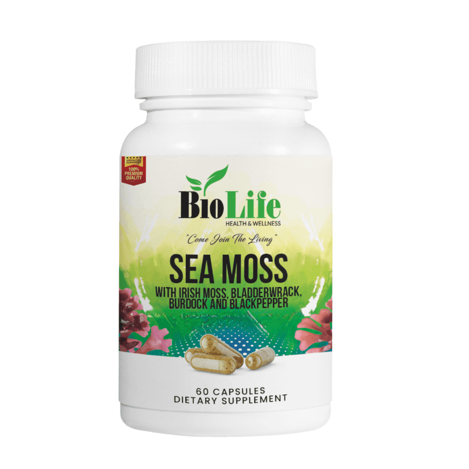 Biolife Sea Moss - With Irish Moss, Bladderwrack, Burdock and Black Pepper (60 Capsules ...