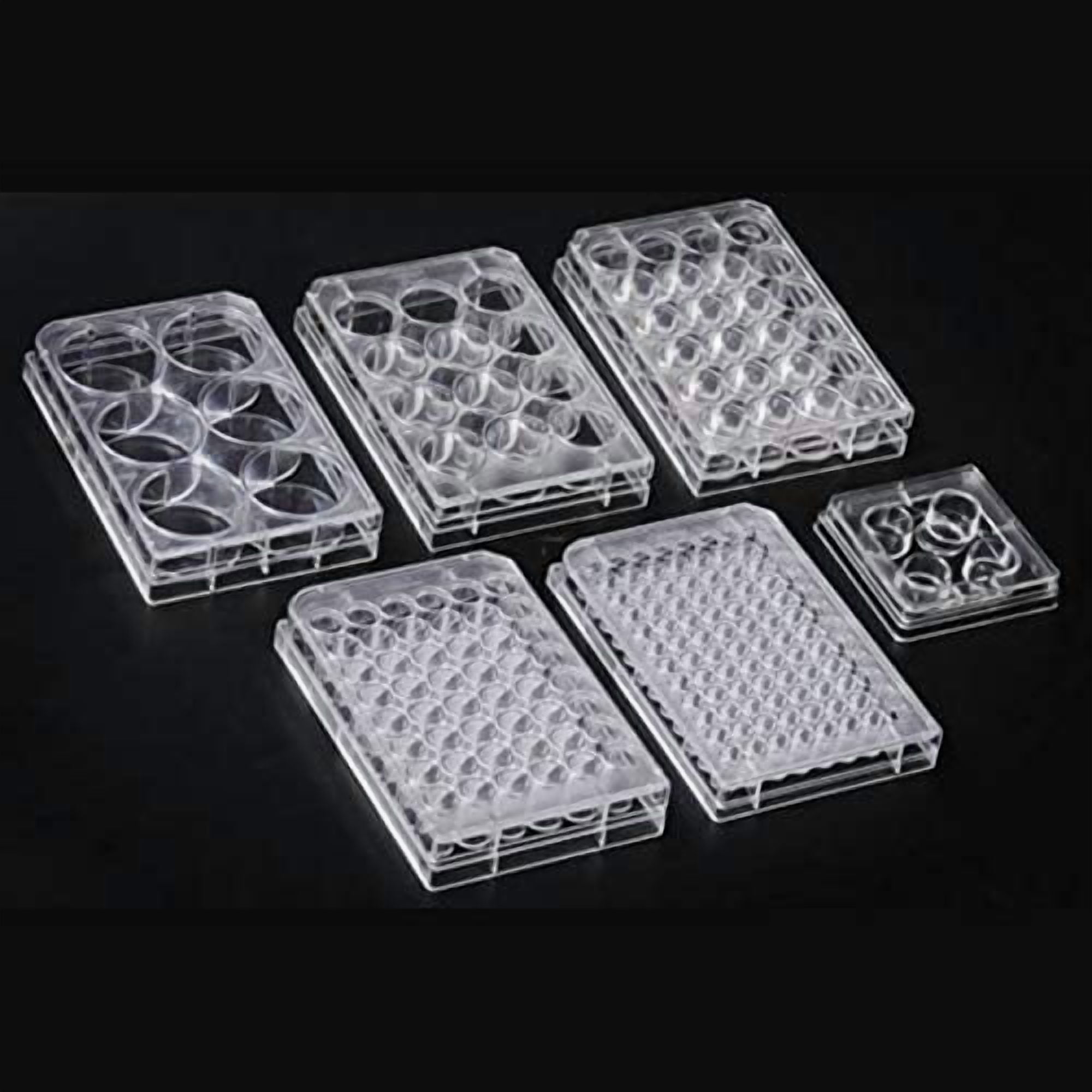 Biologix PS Cell Plate- 48 Well, Flat Bottom, Sterile Cell Plate, Case ...