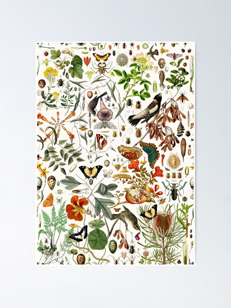 Biology 101 Canvas Poster Decor Landscape Office Room Decor Gift ...