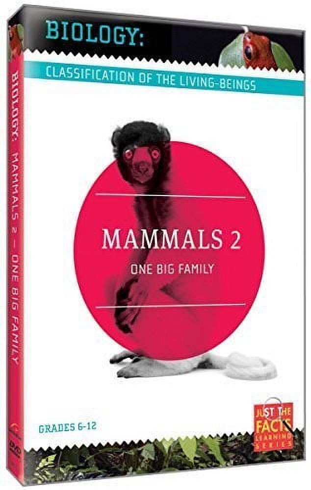 Biology Classification: Mammals 2 (DVD), Cerebellum Generic, Special ...