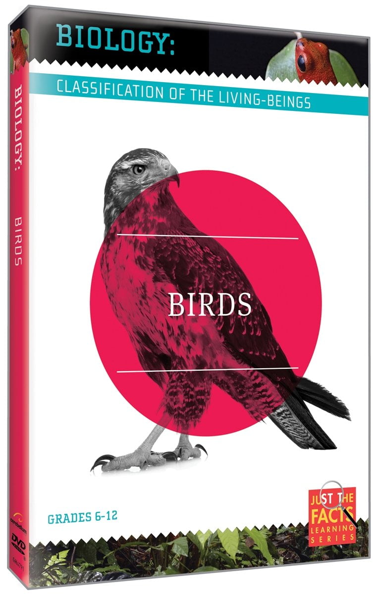 Biology: Classification Of The Living-Beings - Birds - Walmart.com