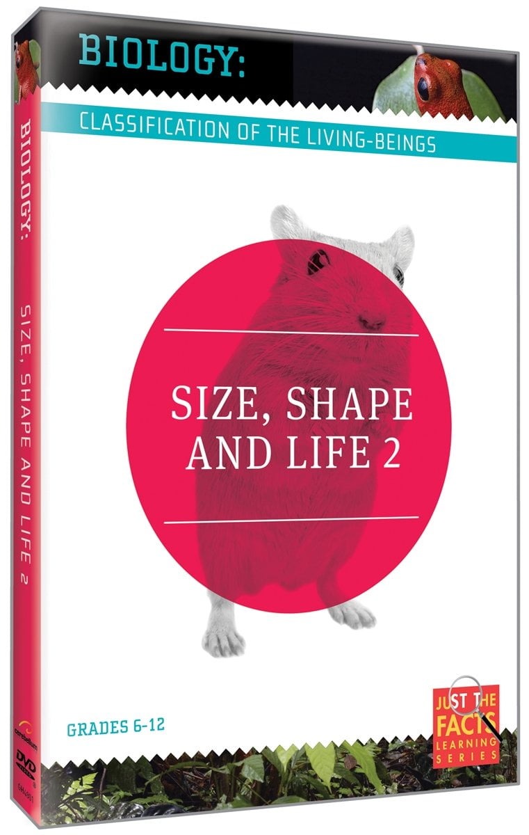 Biology: Classification Of The Living-Beings - Size, Shape And Life ...