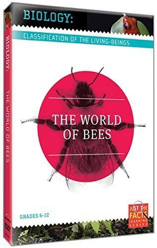 Biology Classification: World of Bees (DVD), Cerebellum Generic ...