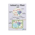 Biology Education Poster Animal And Plant Cell Structure Poster Canvas ...