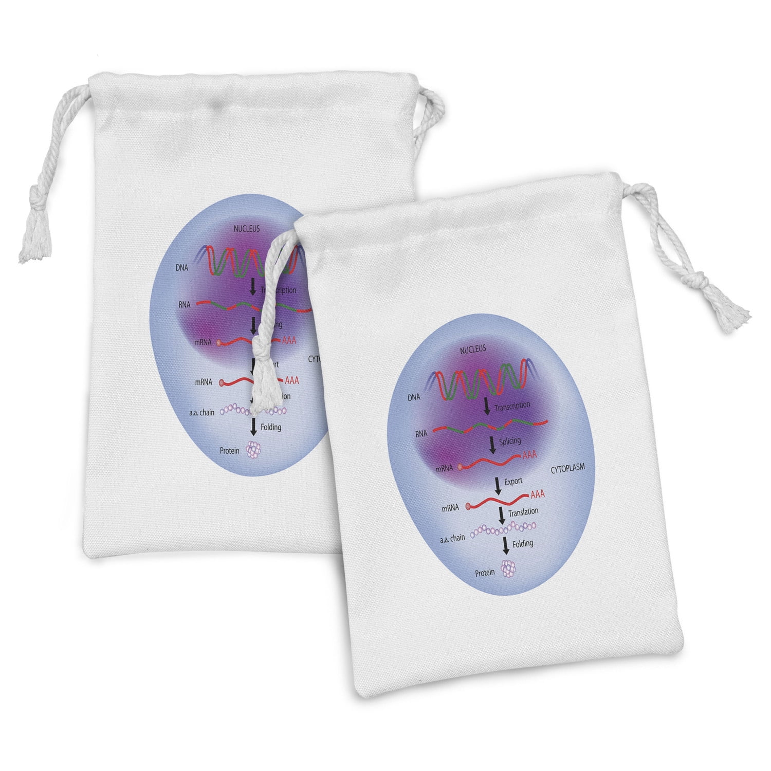 Biology Fabric Pouch Set of 2, DNA RNA Nucleus Protein Genetic Transfer ...