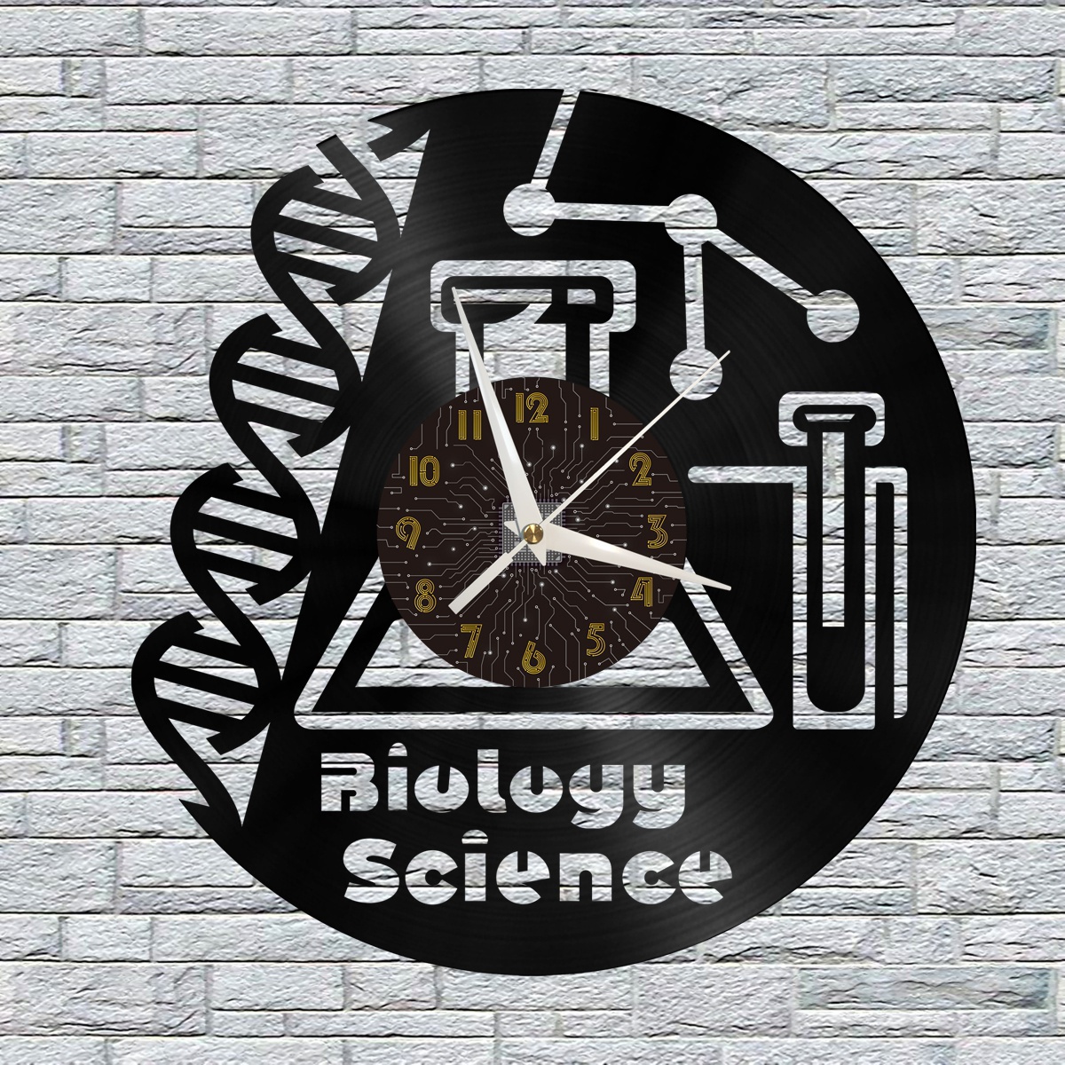 Biology Science Vinyl Wall Clock, Vinyl Record Clock Wall Art Silent ...