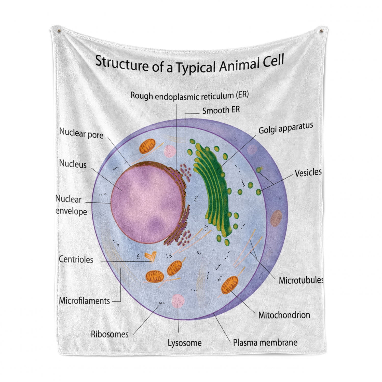 Biology Soft Flannel Fleece Blanket, Biologic Scientific Educational ...