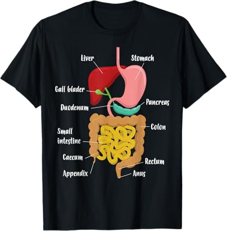 Biology Teacher Anatomical Chart Digestive System T-Shirt - Walmart.com