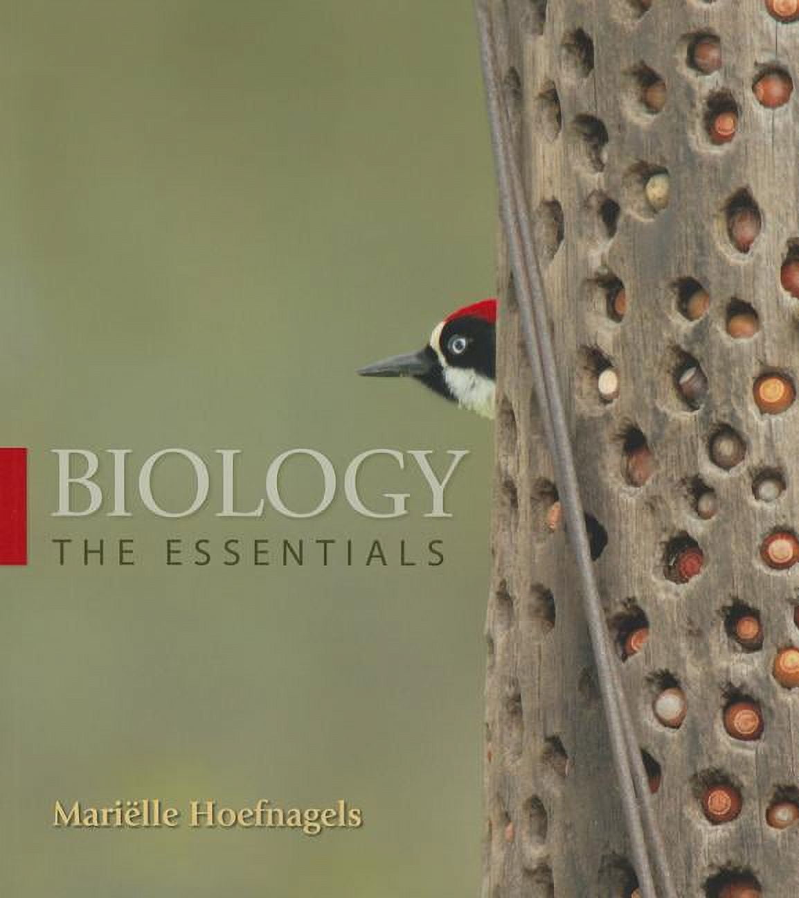 Biology: The Essentials, (Hardcover) - Walmart.com
