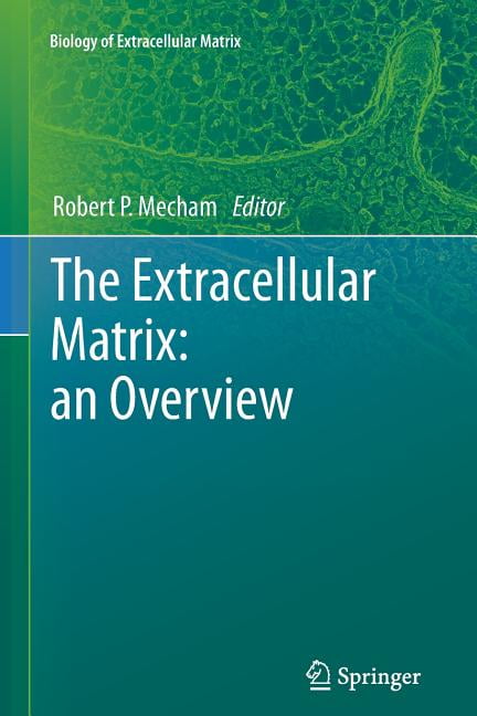 Biology of Extracellular Matrix: The Extracellular Matrix: An Overview ...