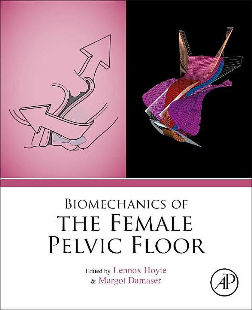 Biomechanics of the Female Pelvic Floor, (Hardcover) - Walmart.com