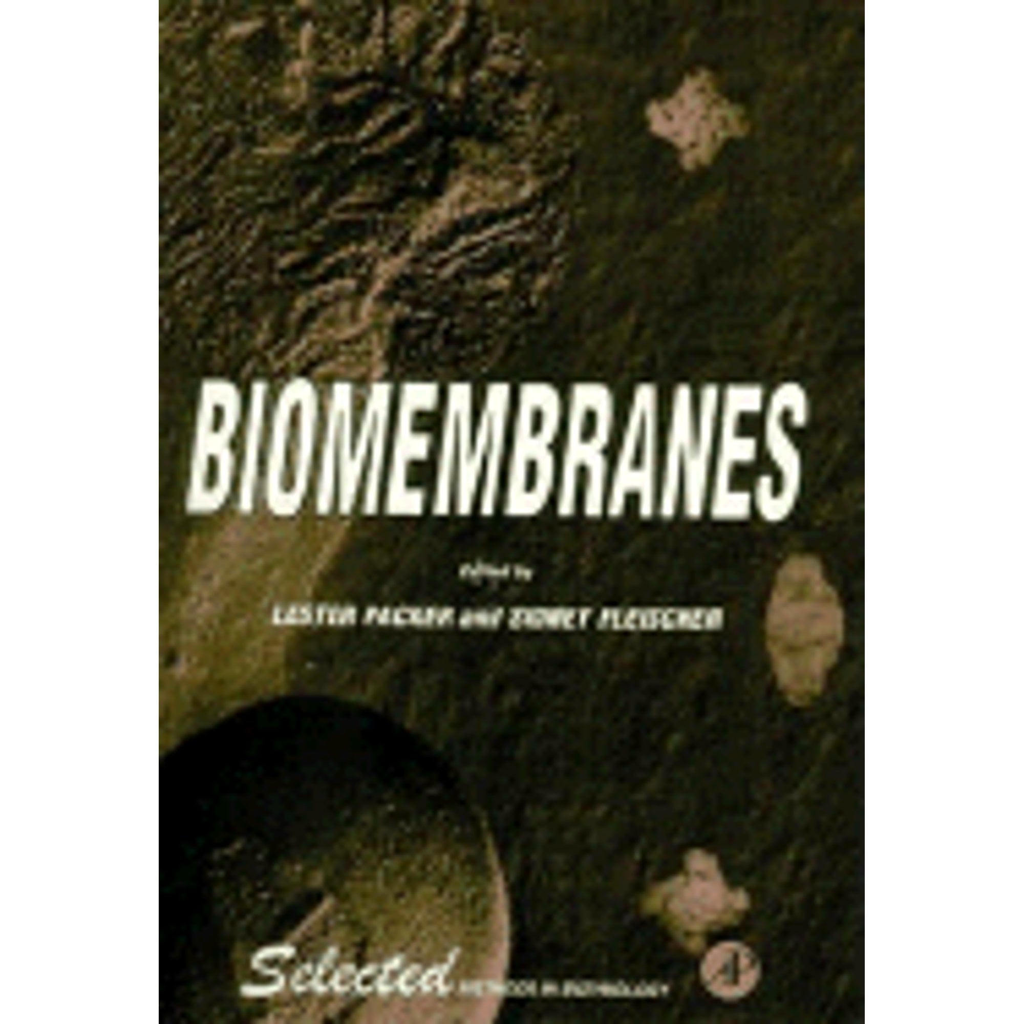 Lester Packer Books - Walmart.com