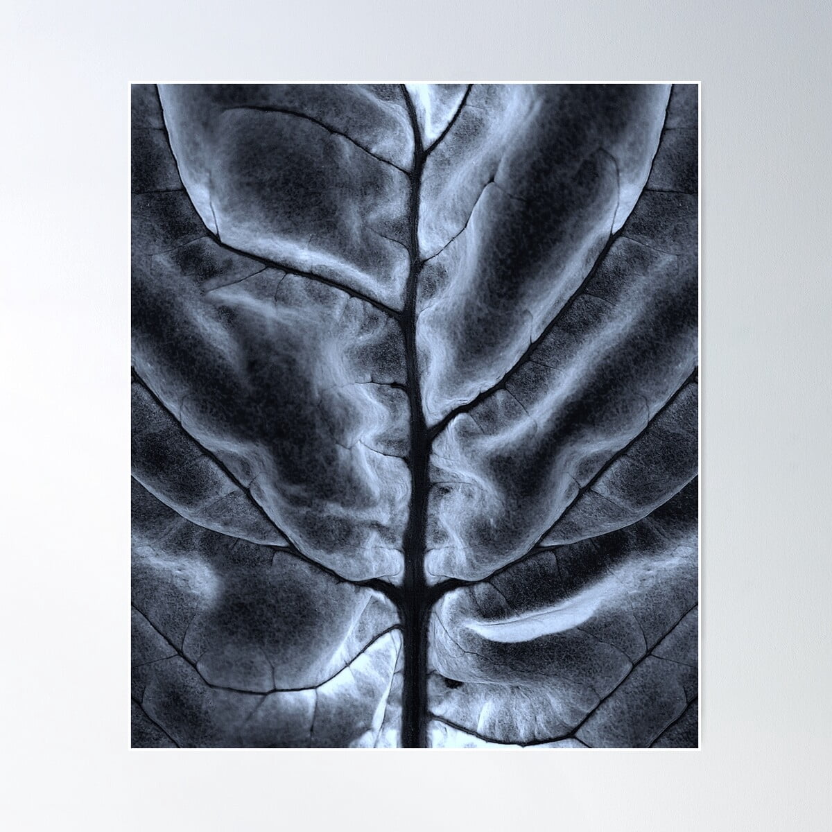 Biomimicry - Biomaterials - Natural Patterns Poster Wall Art, Modern ...