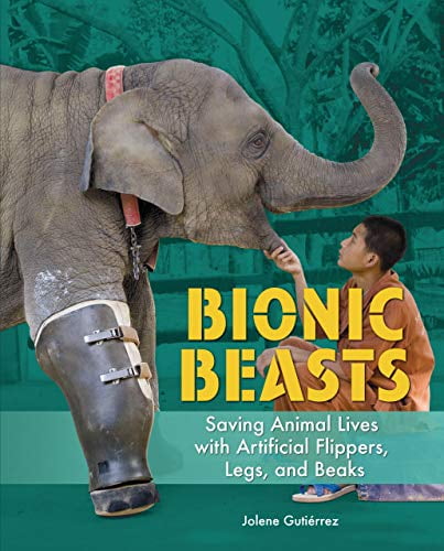 Pre-Owned Bionic Beasts: Saving Animal Lives with Artificial Flippers ...
