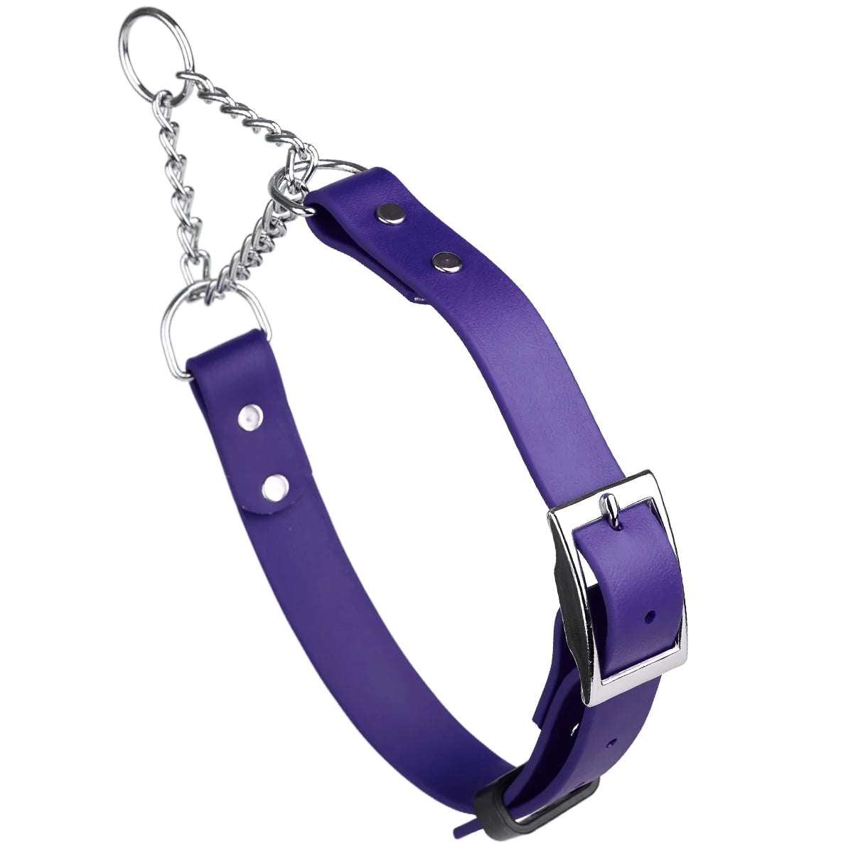 Biothane Adjustable Martingale Collar with Metal Buckle - Walmart.com
