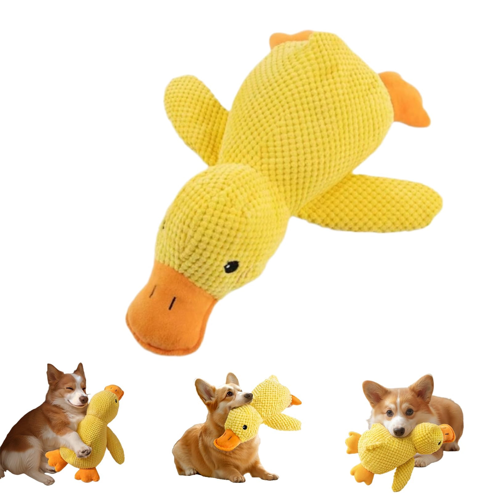 Biovet Md Duck Toy, Quacko Calming Duck Toy, Cute No Stuffing Quacking ...