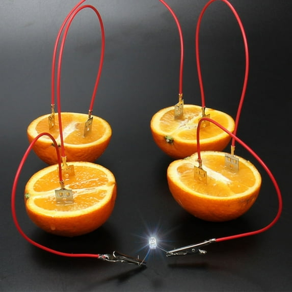 Biplut Fruit Battery Light Diode Generator Science Experiment Kit ...
