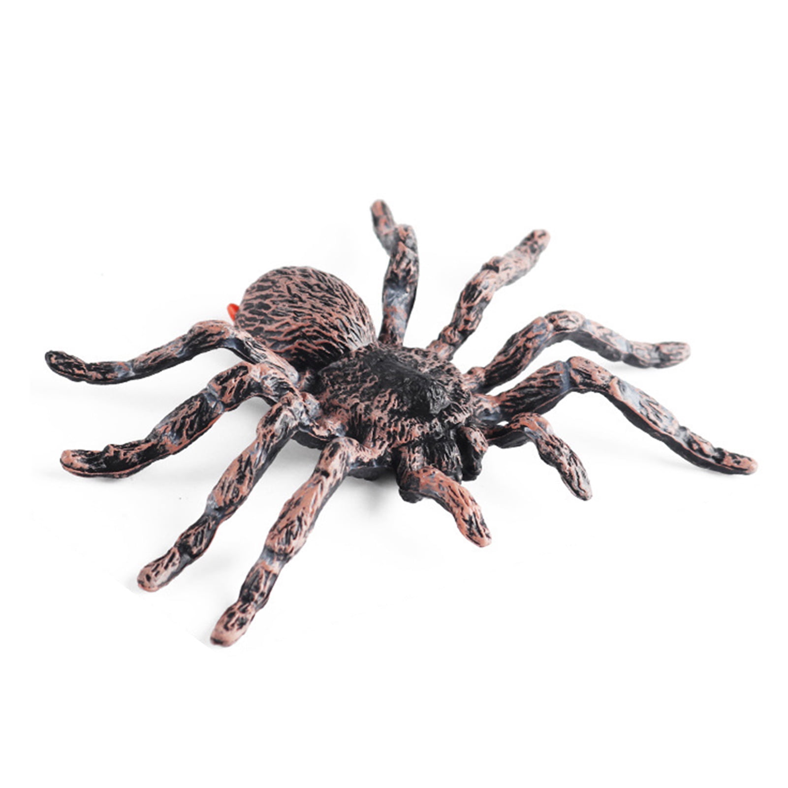Biplut Halloween Spider Model Ornament Simulation Spider Plastic ...