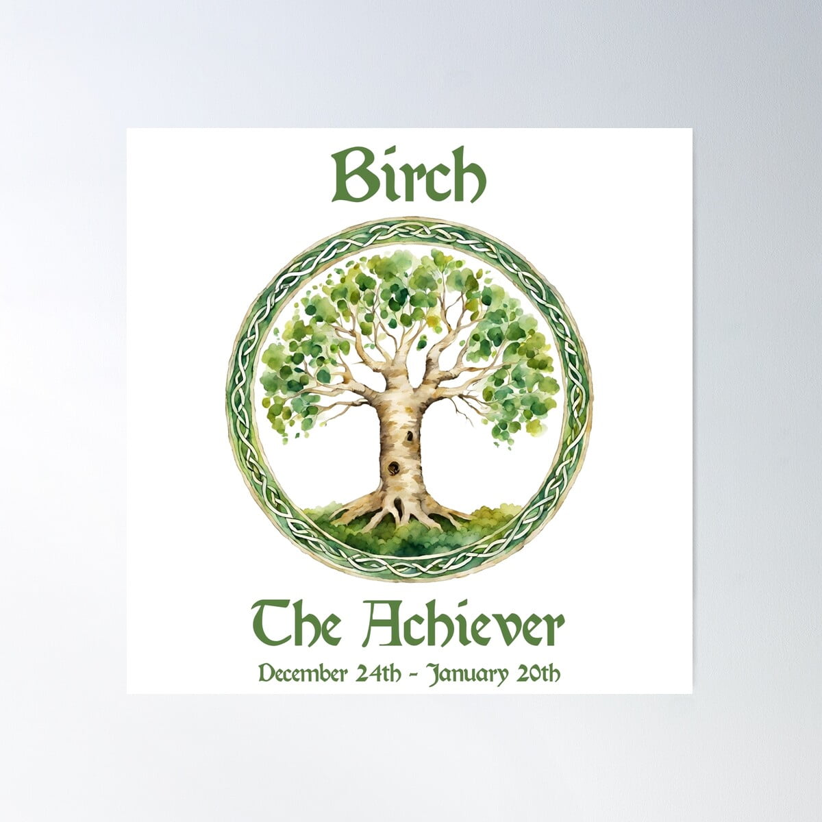 Birch Celtic Birth Tree Poster Wall Art, Modern Wall Decor For Living ...