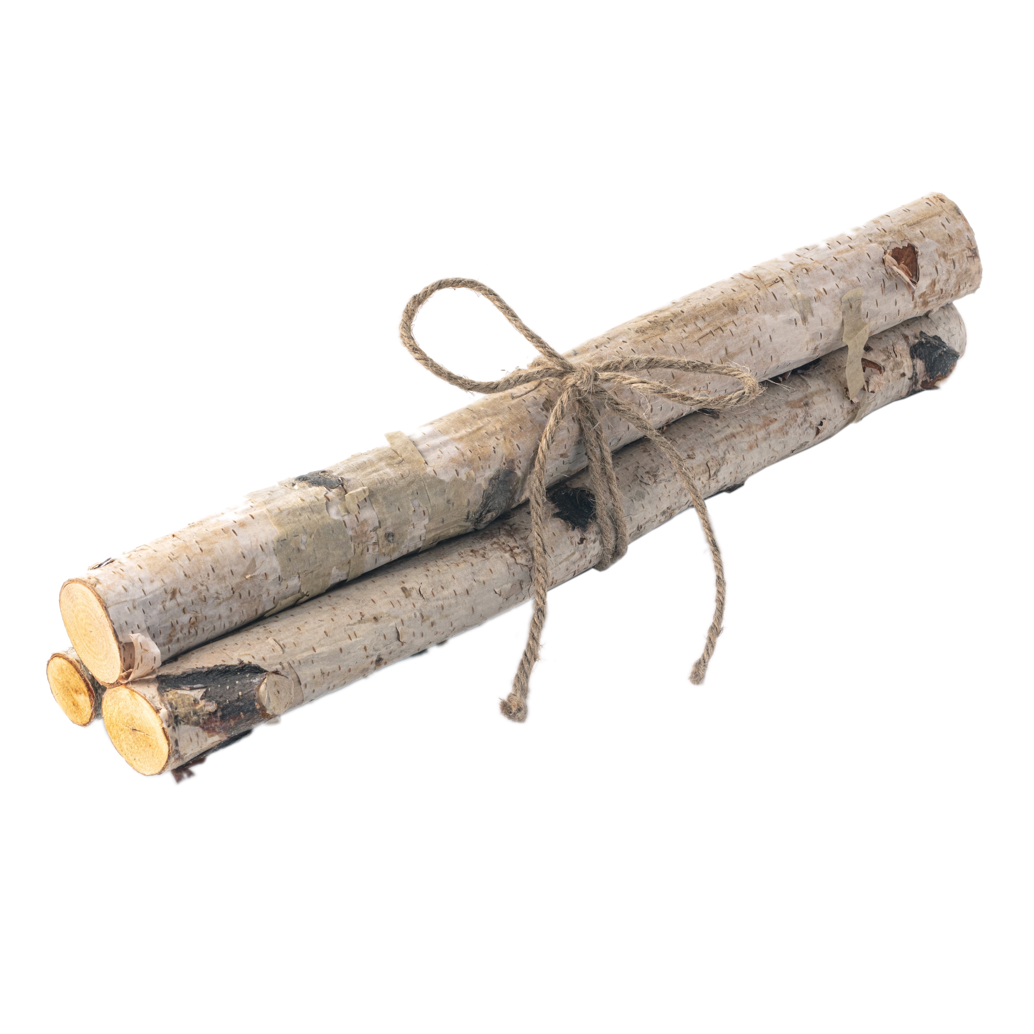 Birch Log Bundle by Ashland® - Walmart.com