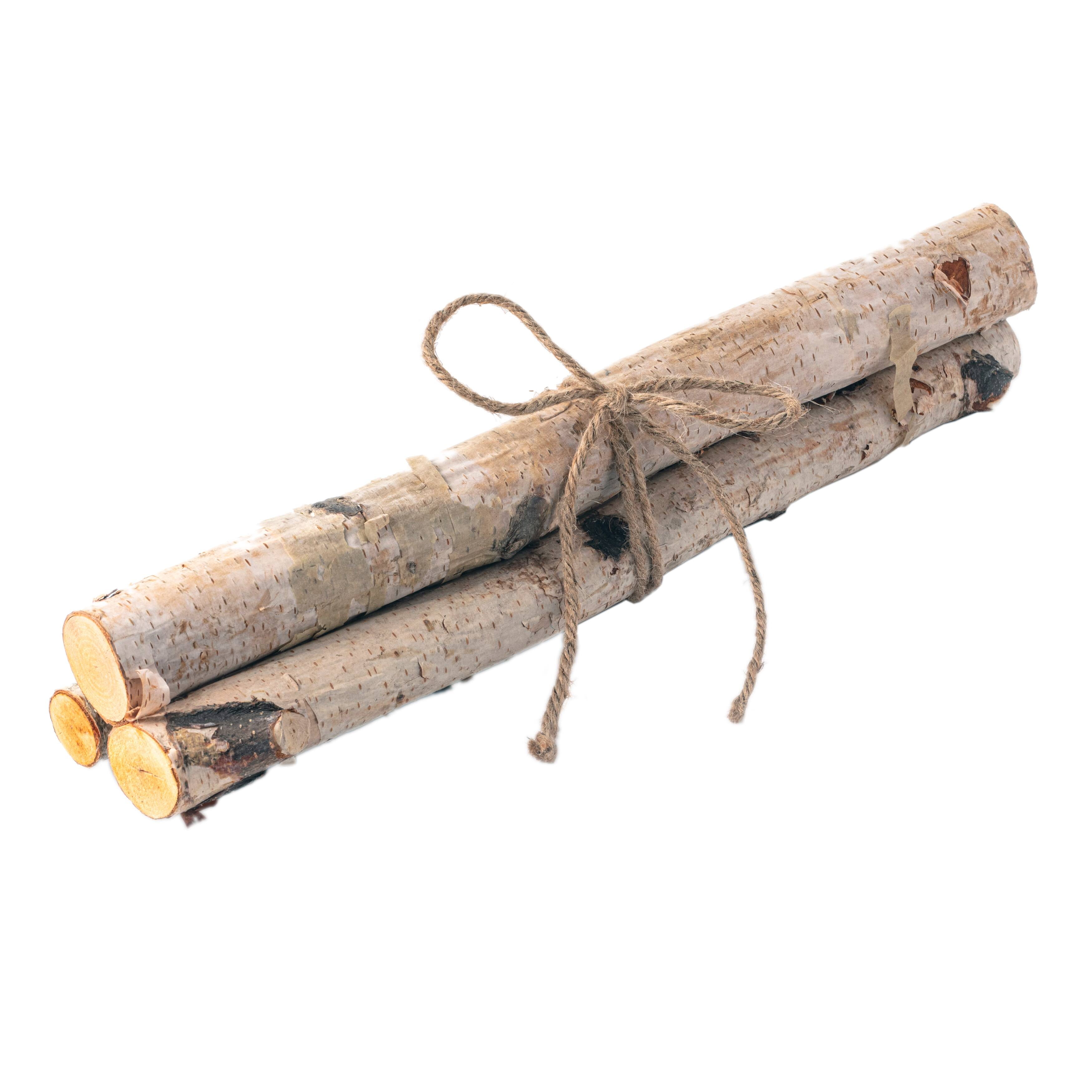 Birch Log Bundle by Ashland® - Walmart.com