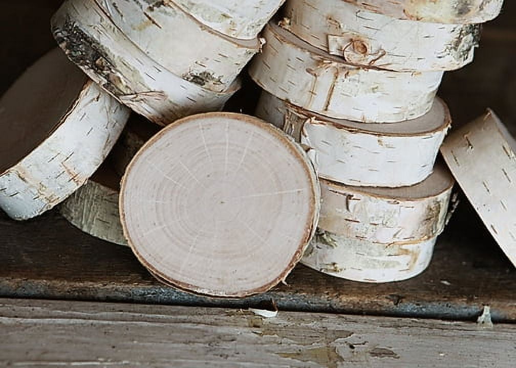 Birch Rounds, Medium - Walmart.com